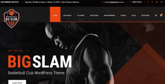 How To Create A Sports WordPress Website For Any Sport
